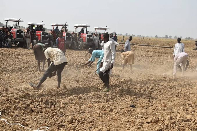 Niger farmers set to produce 1m tonnes of grains this dry season ...